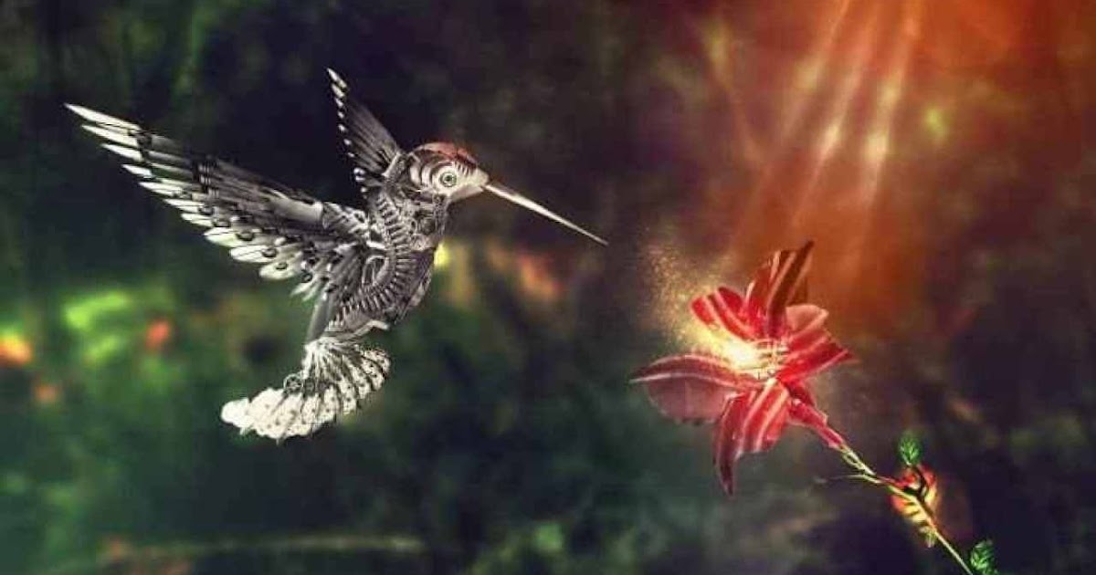 Vida Natural: Cuando veas un colibrí, un alma amada te vino a visitar