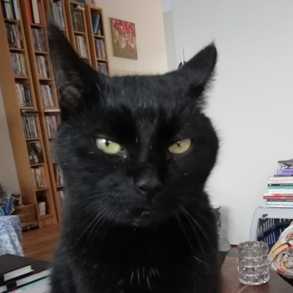 Caatje's Artsy Stuff