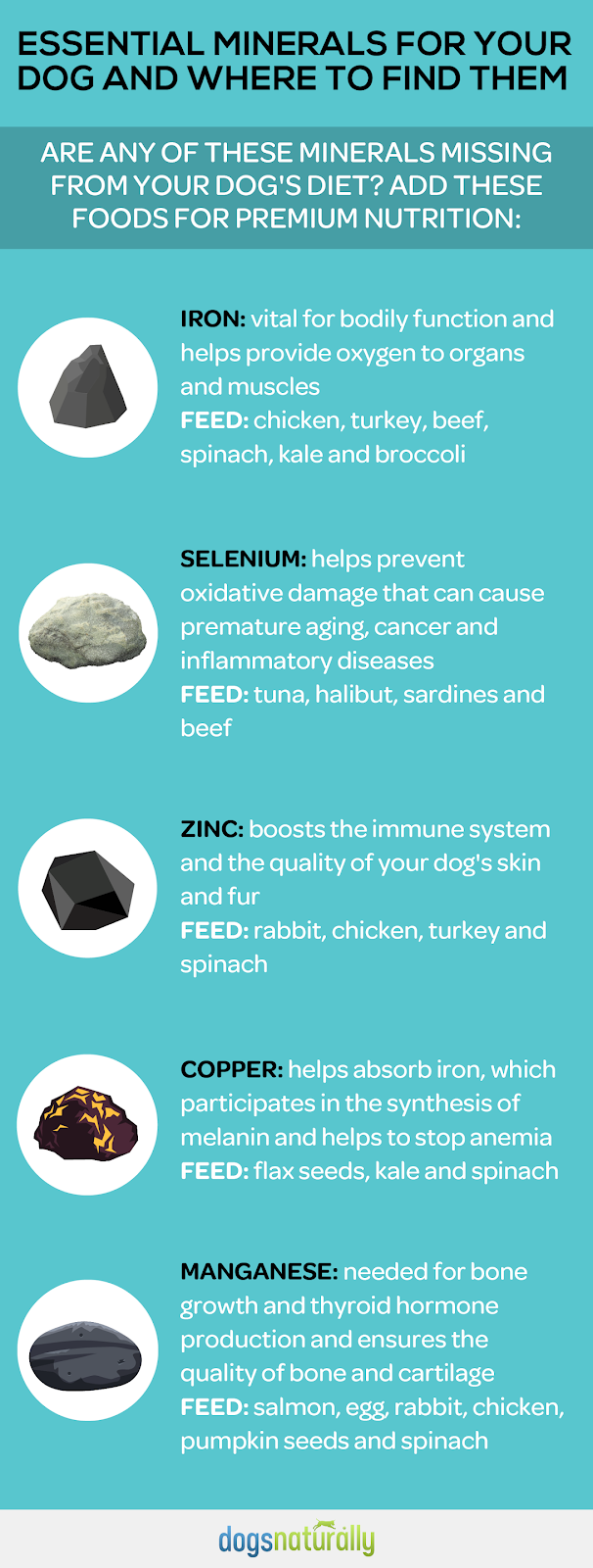 Road's End Papillons : Essential Minerals For Your Dog