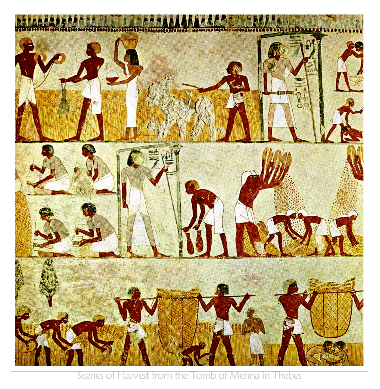 By His EVERY Word: A Divine Masterpiece | Parashat Miketz | By His ...