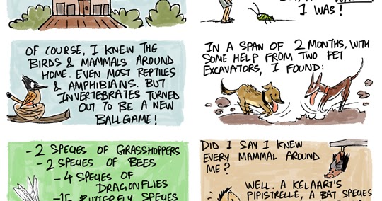 Green Humour: Home Biodiversity in Lockdown