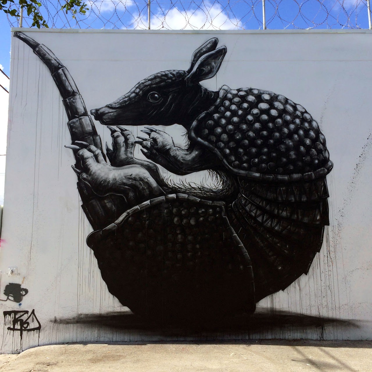 ROA "Armadillo" 最新ミューラル（Art Basel '13 - マイアミ）