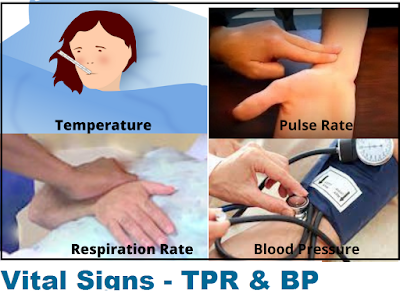 Vital Signs or Cardinal Signs -TPR And Blood Pressure