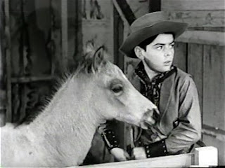 *: Colorado Pioneers - R. G. Springsteen - 1945