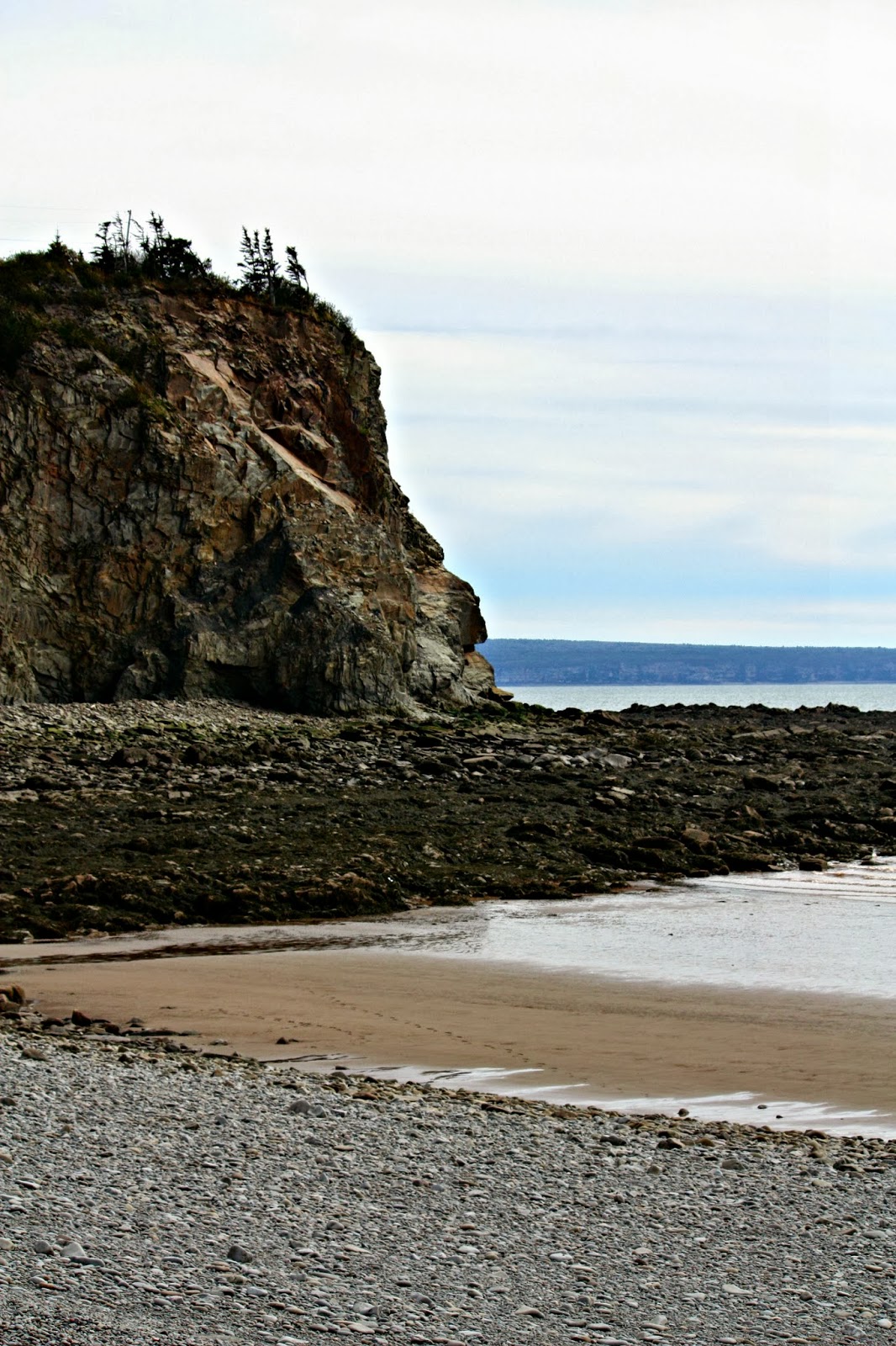 Carol Steel: Cape Enrage, Albert County NB