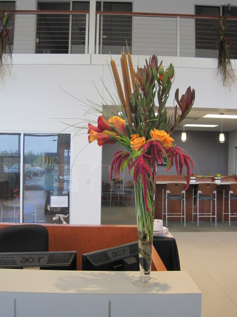 Plants, Flowers and Such: Sommers Subaru Celebration Flowers