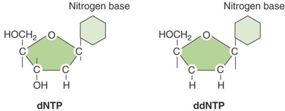 Tugas Bioteknologi (Teknik-teknik Bioteknologi, Prinsip Kerja ...