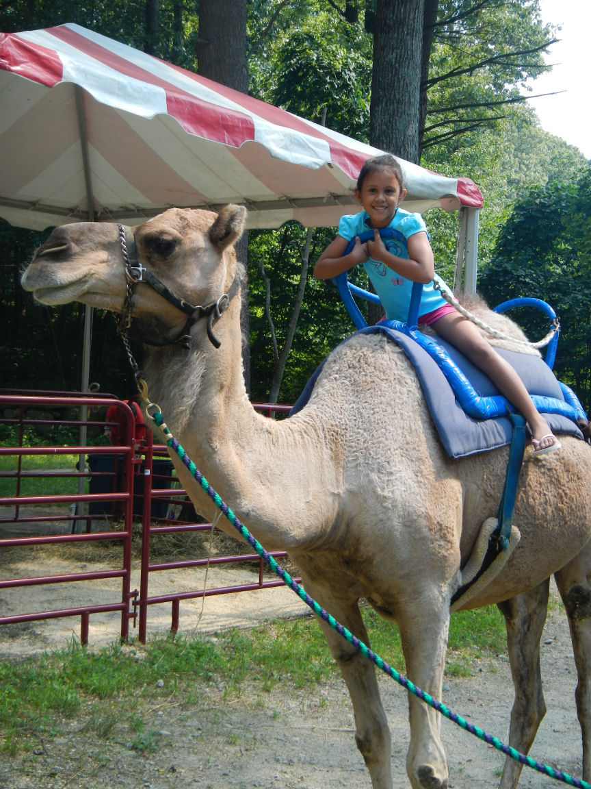 Southwick's Zoo, Mendon MA. | From Kingstown to Your Town