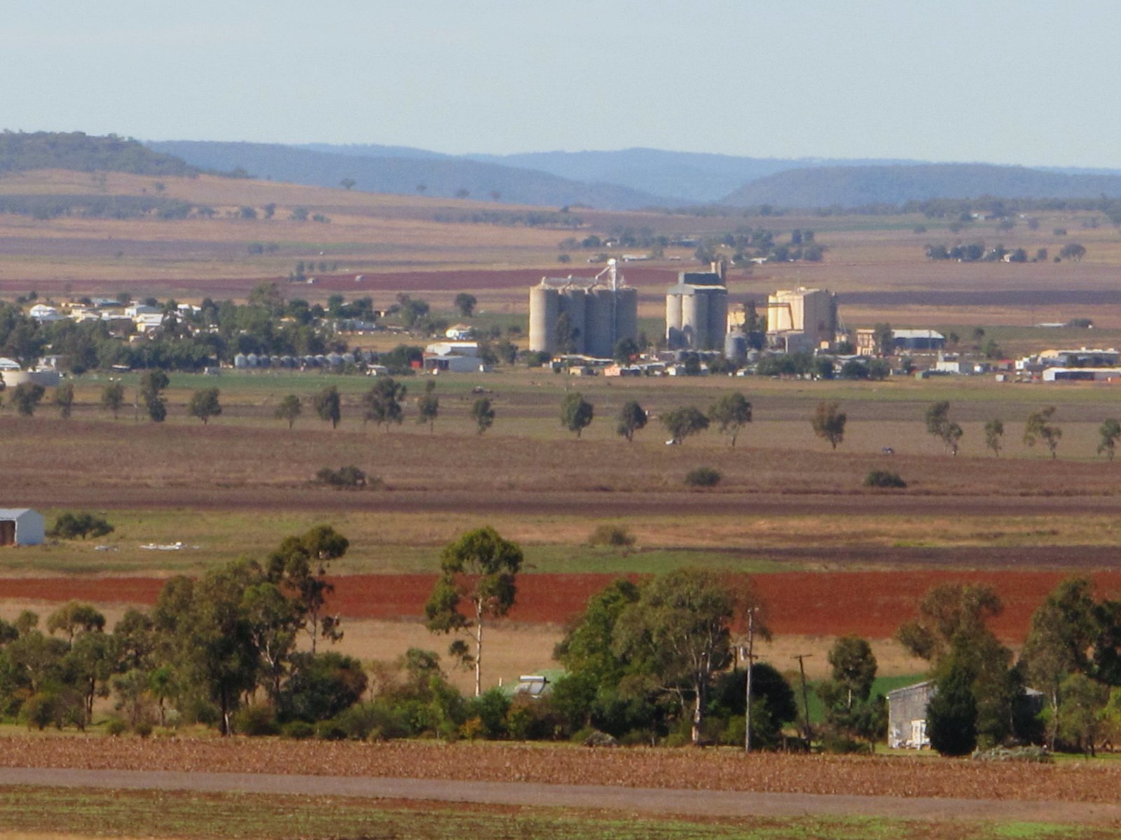 Cycling with Jimmy Bee : CYCLING FROM CLIFTON TO PILTON, QLD.