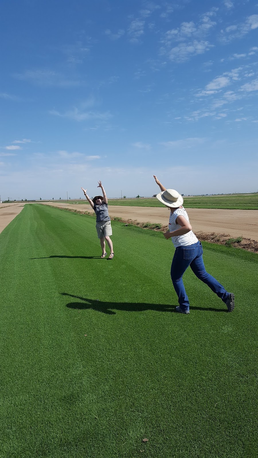 A trip to the sod farm: Green Valley Turf - Morning Ag Clips