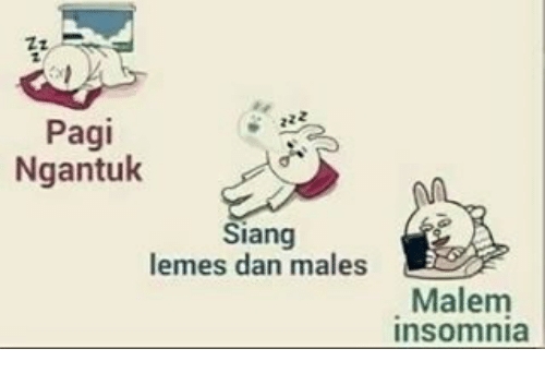15 Meme Lucu 'Ngantuk' Ini Bikin Mata Sepet Jadi Seger Kembali