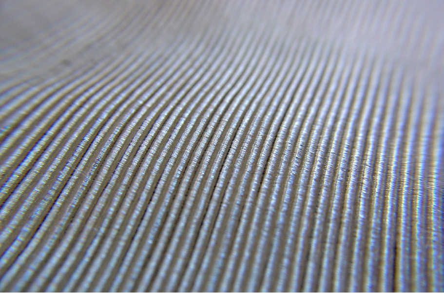 Biomimicry in Graphic Design: Morphotex Structural Coloured Fibers