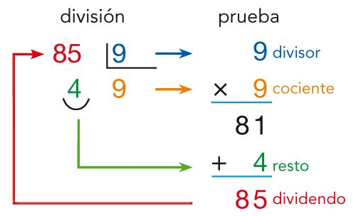 Tercer Grado - Matemáticas - Prueba de la división