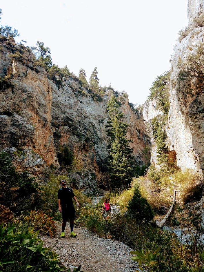 Fletcher Canyon Trail: Las Vegas, Nevada ~ Adventures in Southern ...