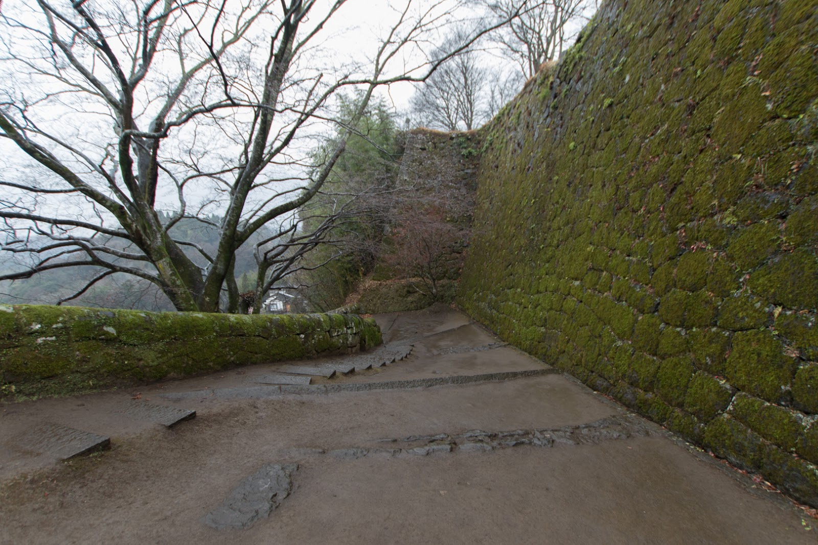 Oka Castle -Fierce battle for fate and fame (6) -Brave general and ...