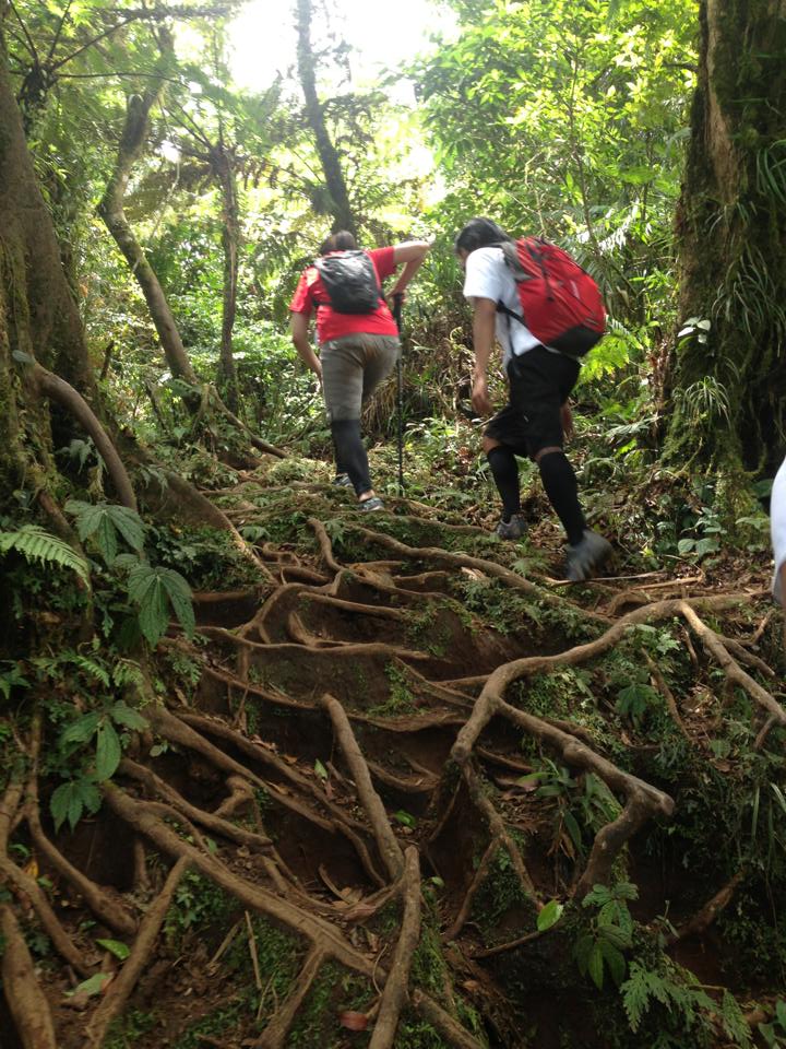 travelenravel: Mount Makiling: An Enchanting Hike To Peak 2