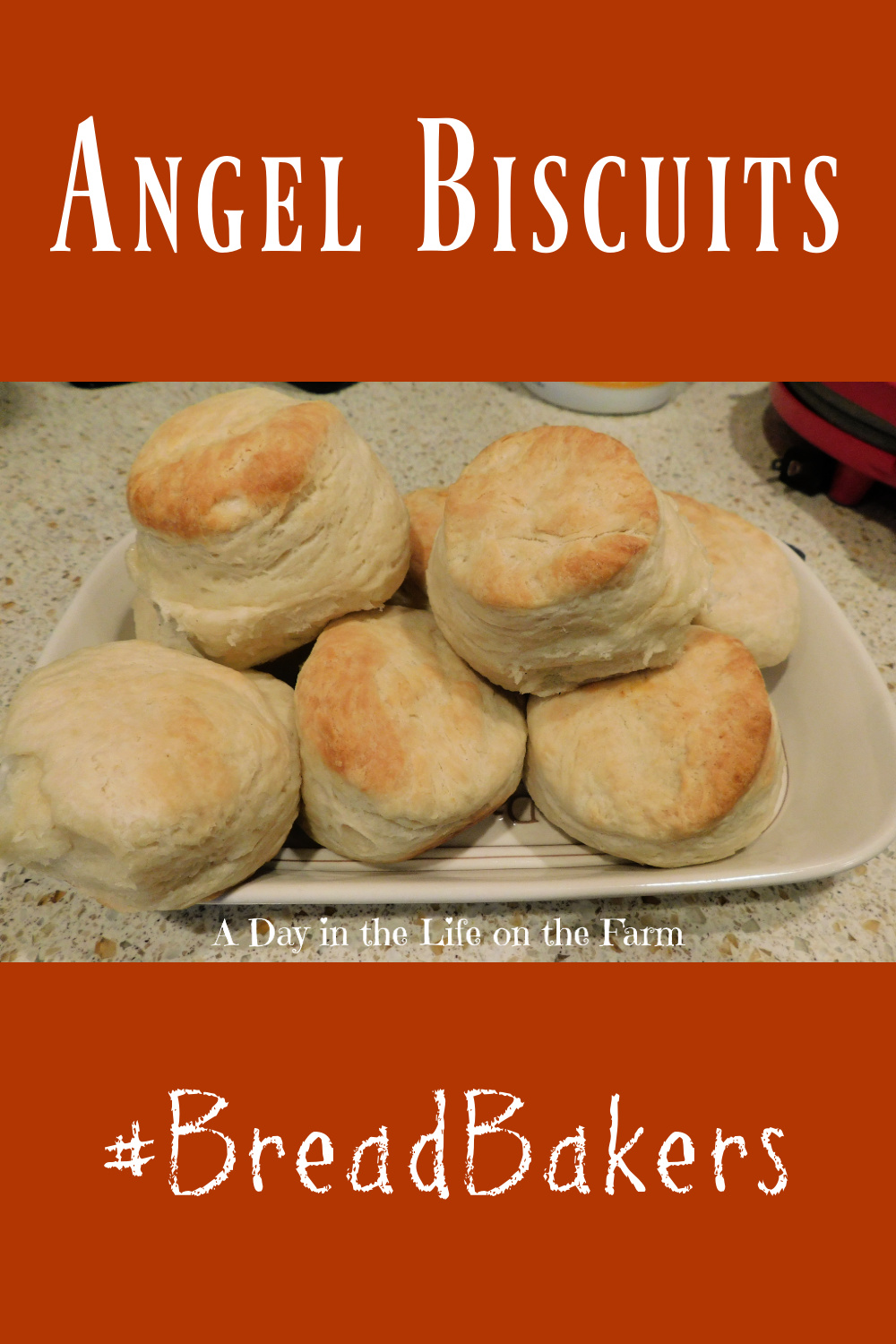 A Day in the Life on the Farm: Angel Biscuits #BreadBakers