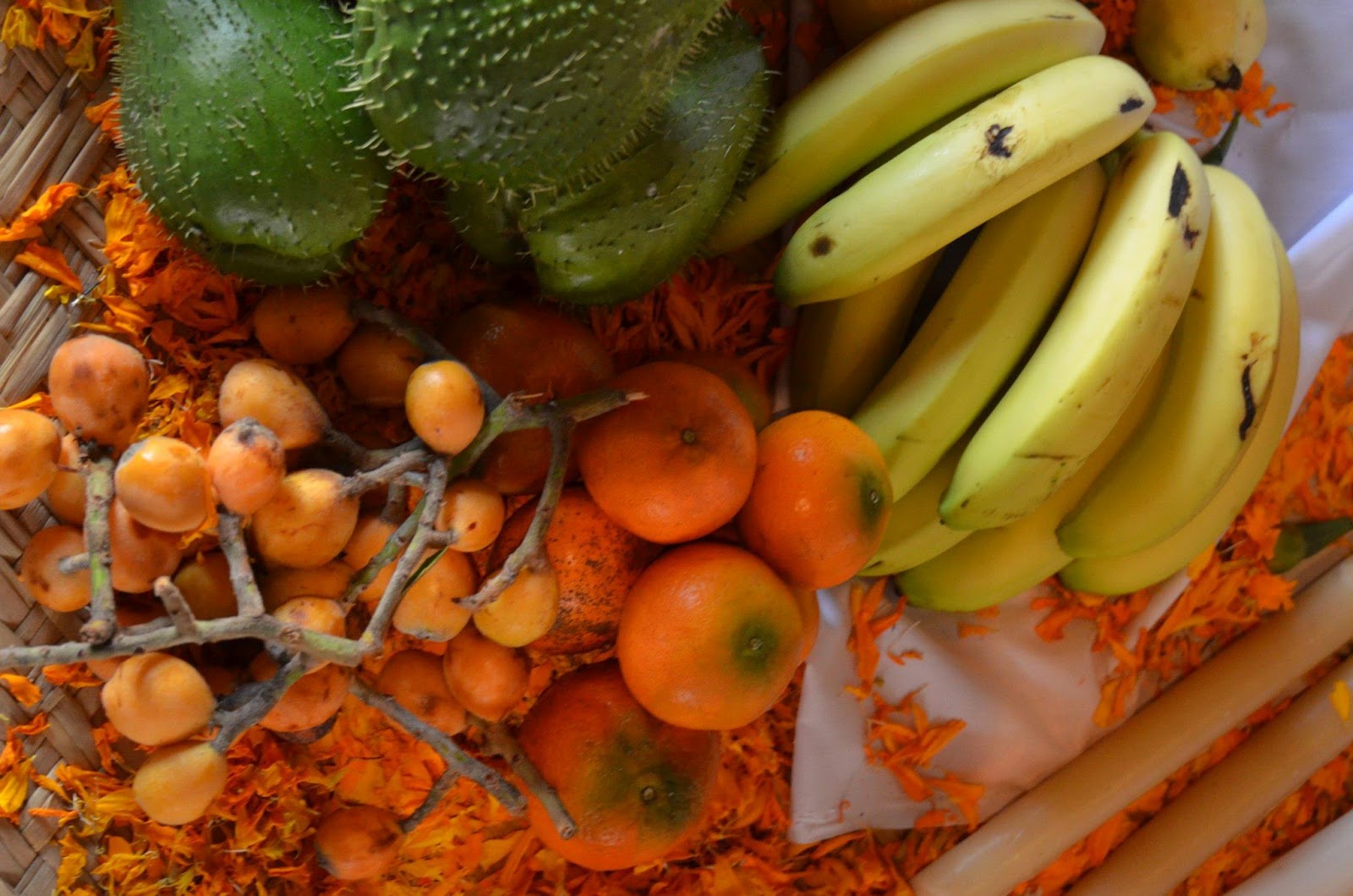 Jaime Ramos Méndez: Frutos del campo michoacano - Fotografía de Sergio ...