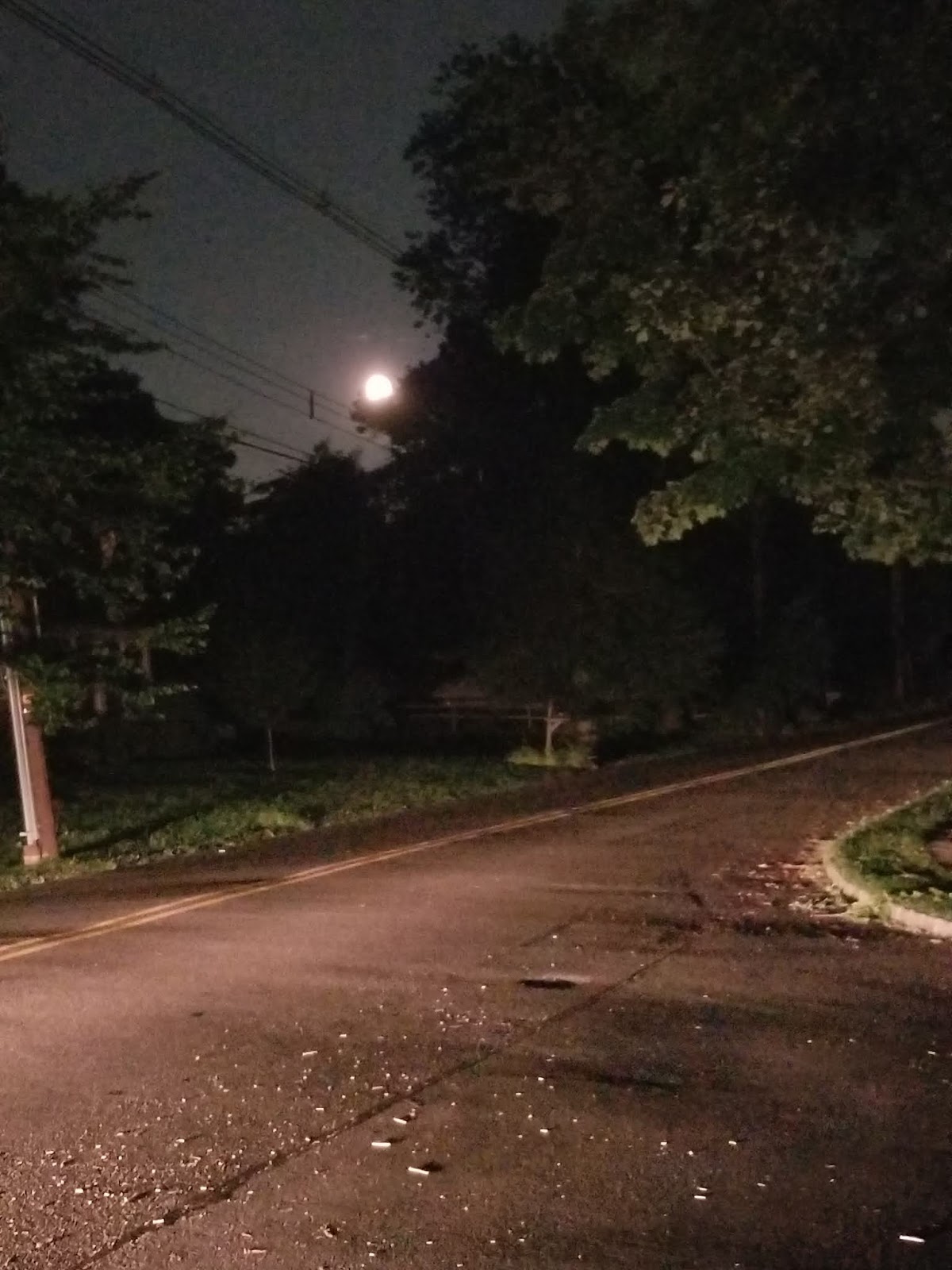 The Secret Sun: 2020