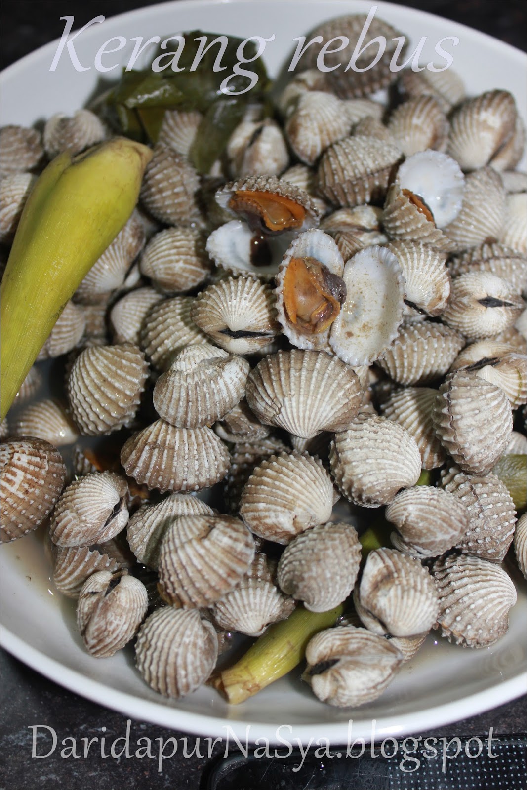 Dari Dapur NaSya: Kerang rebus