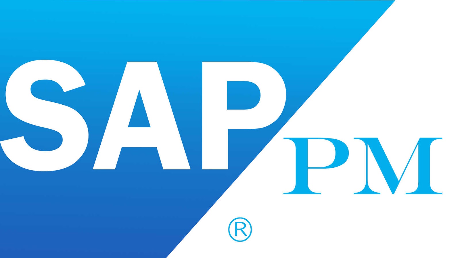 BEST SAP PM Online Training