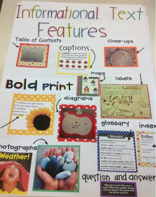 ELA Anchor Charts: Informational Text Features