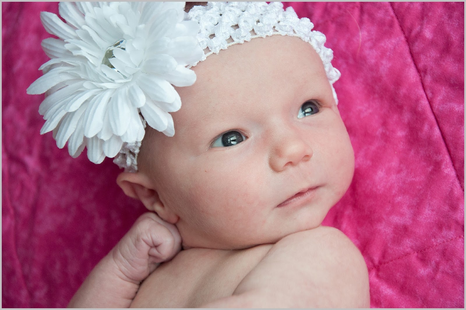 Amanda Mann Photography: Brynleigh's Newborn Debut {St. Louis Newborn ...