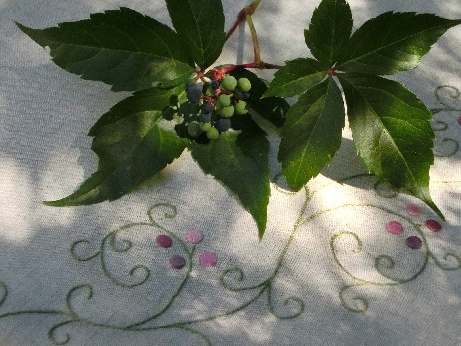Hand Embroidery Pattern VINE - Studio Mirolique
