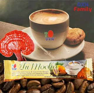 Aprende cómo tomar el café ganoderma