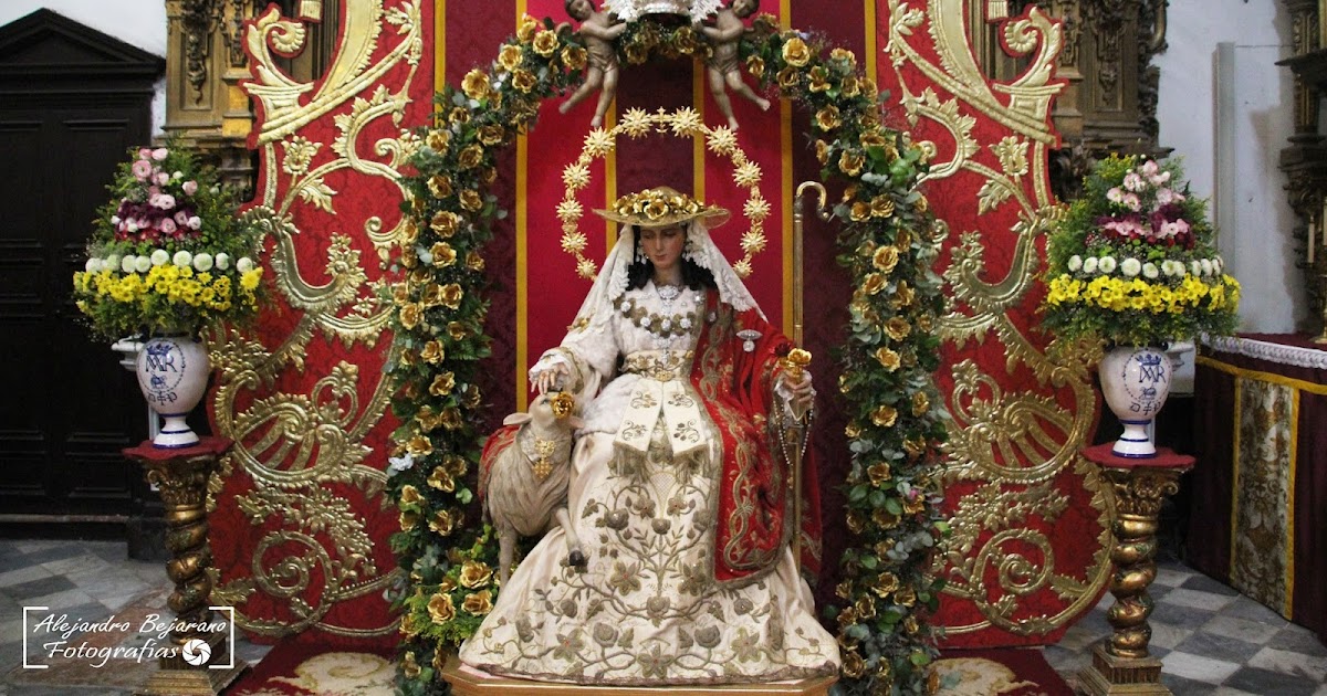 Alejandro Bejarano González Fotografías: Besamanos Extraordinario a ...