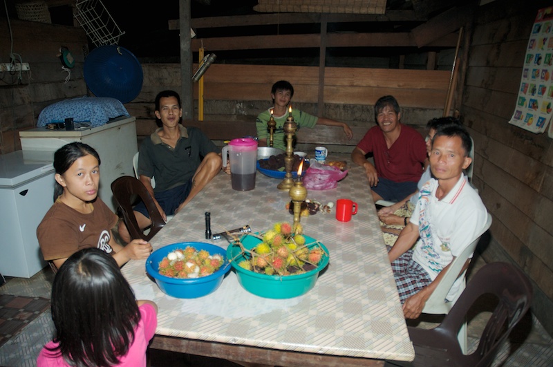 A Wandering Naturalist: Sarawak: The Forest at Long Peluan