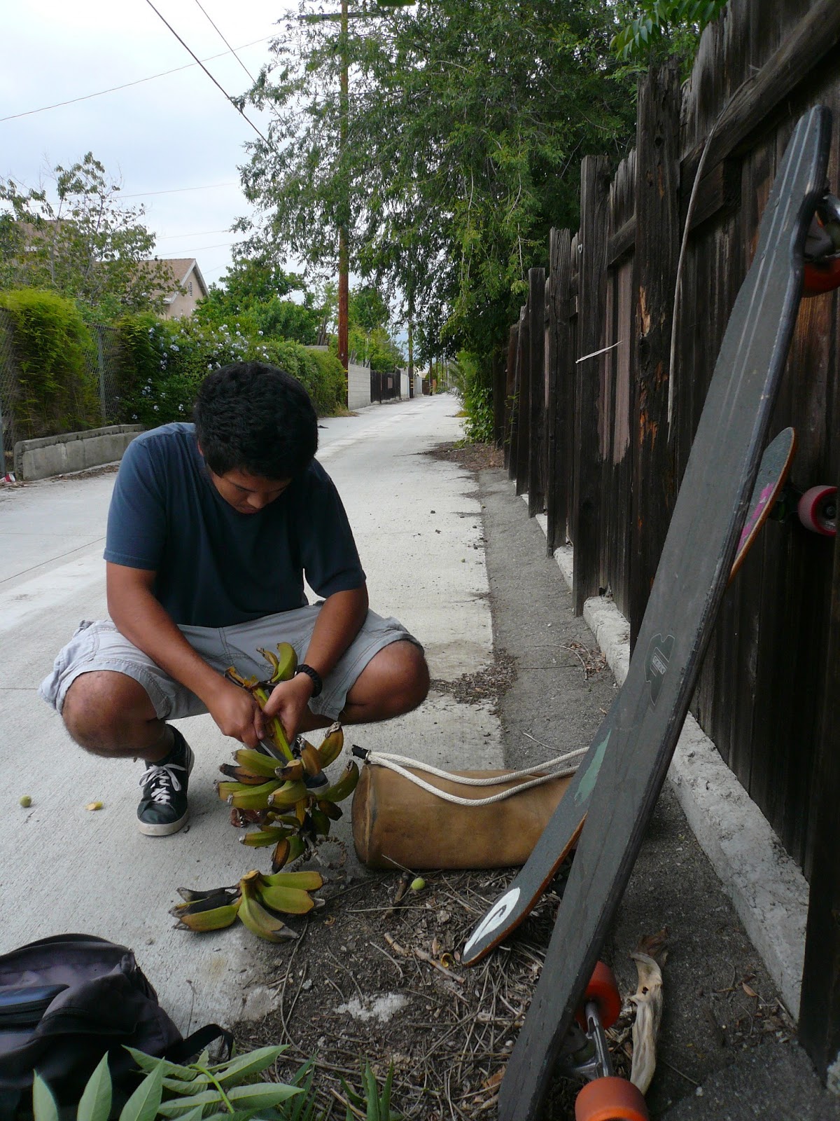 Countryman: Foraging California's Wild Side: Urban Foraging: The Fruits ...