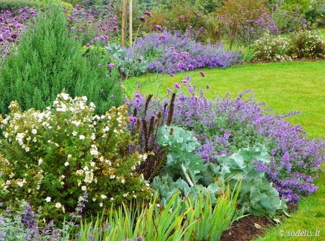 sodelis.lt: Sodelio atspindžiai: rugsėjis'2013