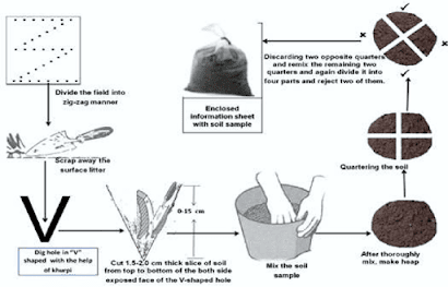 Soil sample collection and preparation for analysis
