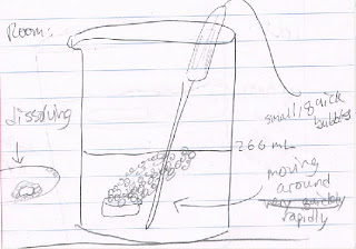 Chemistry Reflection: Chemical Reactions and Temperature Investigation