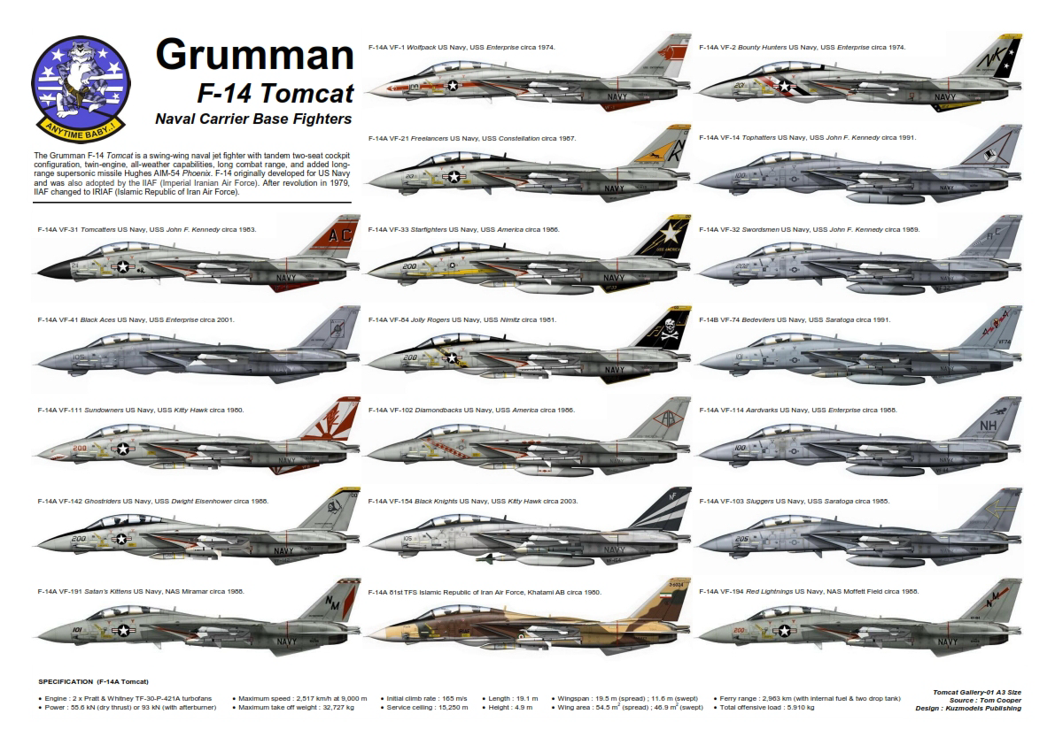 Kuzmodels Minicraft: Grumman F-14 Tomcat Side Profiles Poster