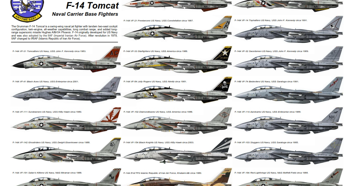 Kuzmodels Minicraft: Grumman F-14 Tomcat Side Profiles Poster