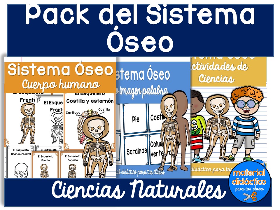 El Sistema Óseo - Material Didactico para tus clases