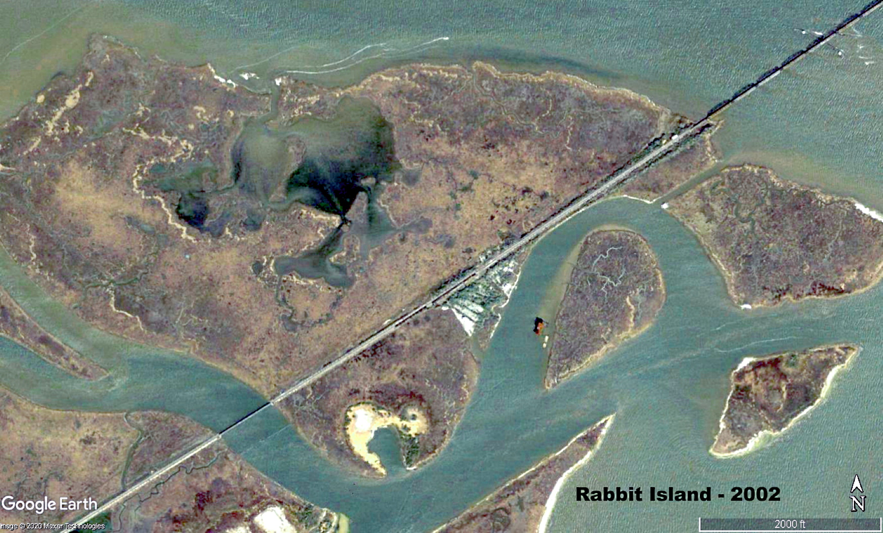 Tammany Family: Rabbit Island