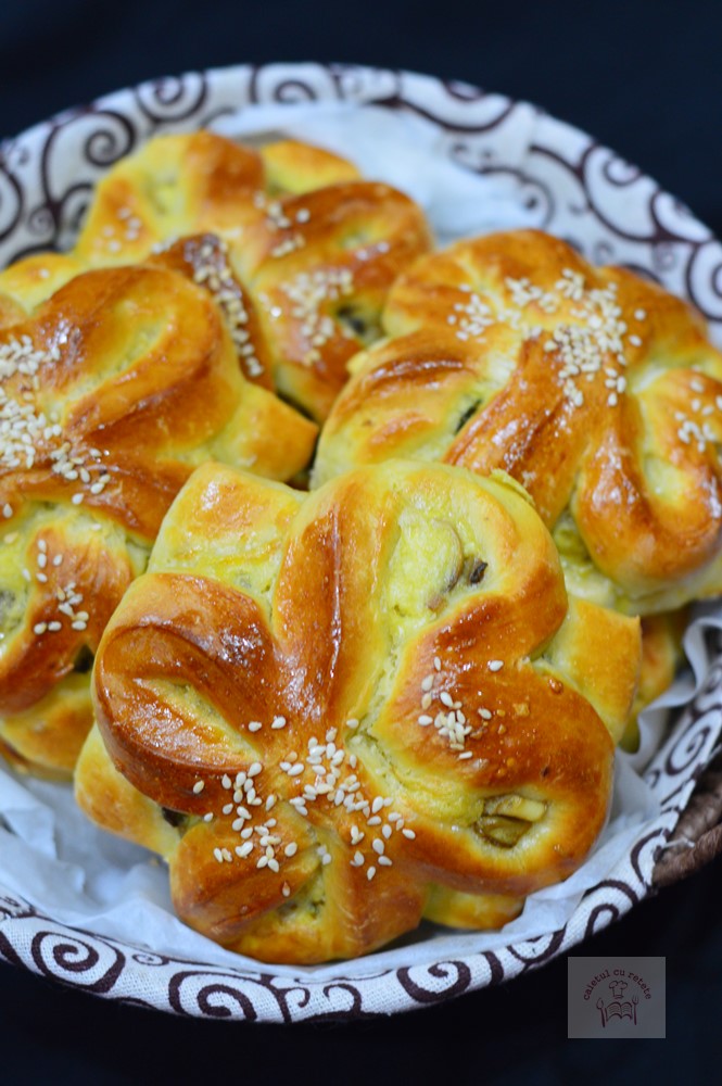 Placinte cu ciuperci - CAIETUL CU RETETE