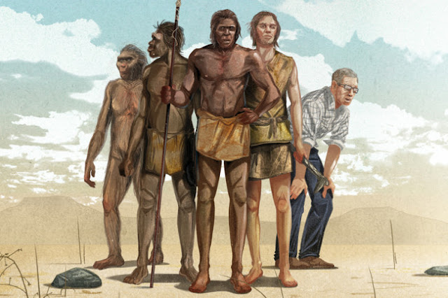 Scientia potentia est: 6 major disadvantages of human evolution and ...