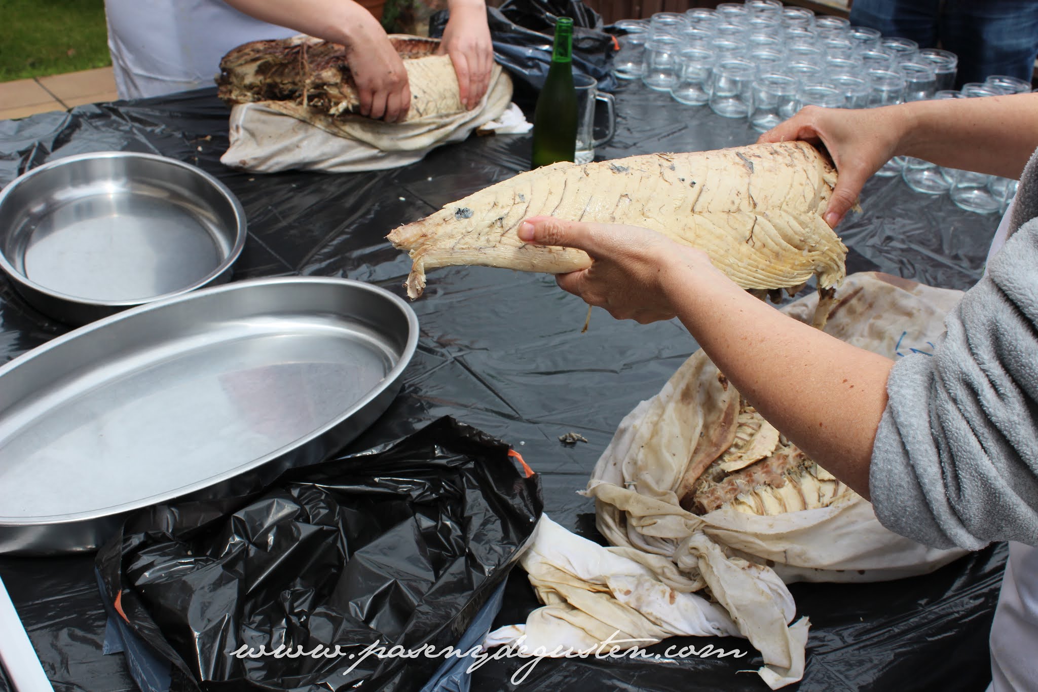 BONITO DEL NORTE EMBOTADO EN CASA - PASEN Y DEGUSTEN