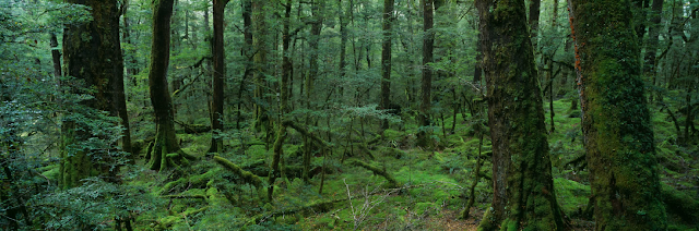 Gallery blogs: Colin Prior - Landscape photographer (Scotland and ...