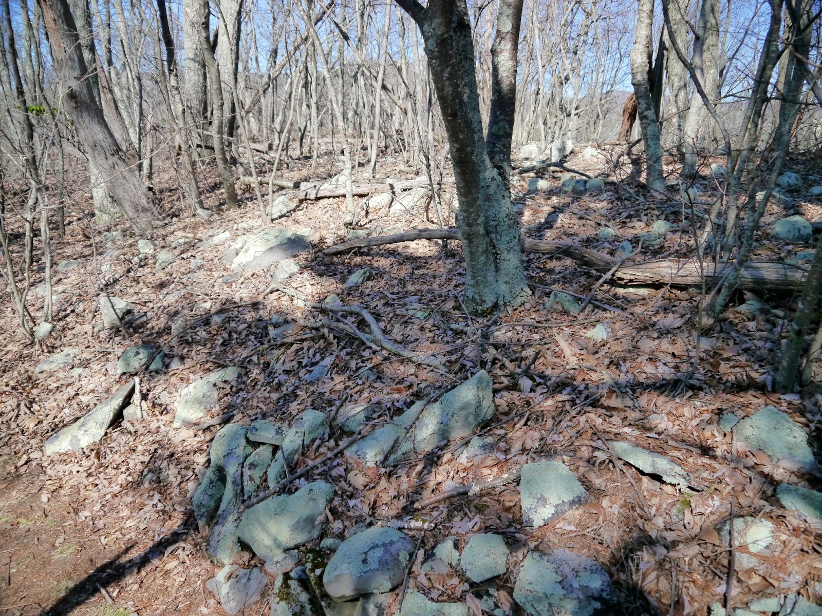 American Travel Journal: Riprap Trailhead to Blackrock Gap ...