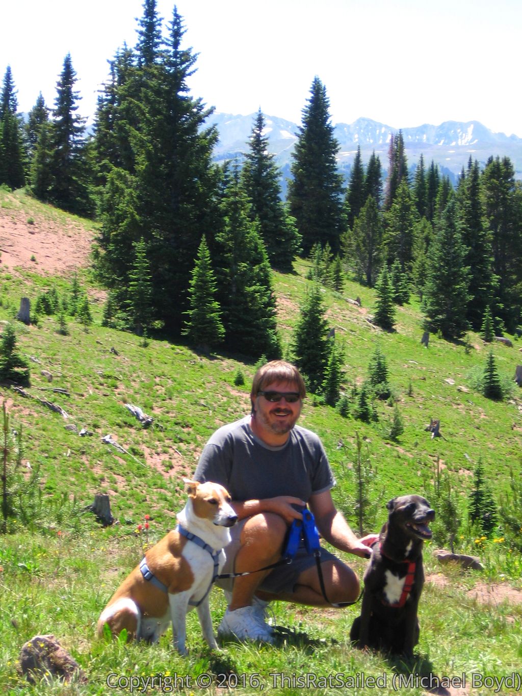 This Rat Sailed: 2018