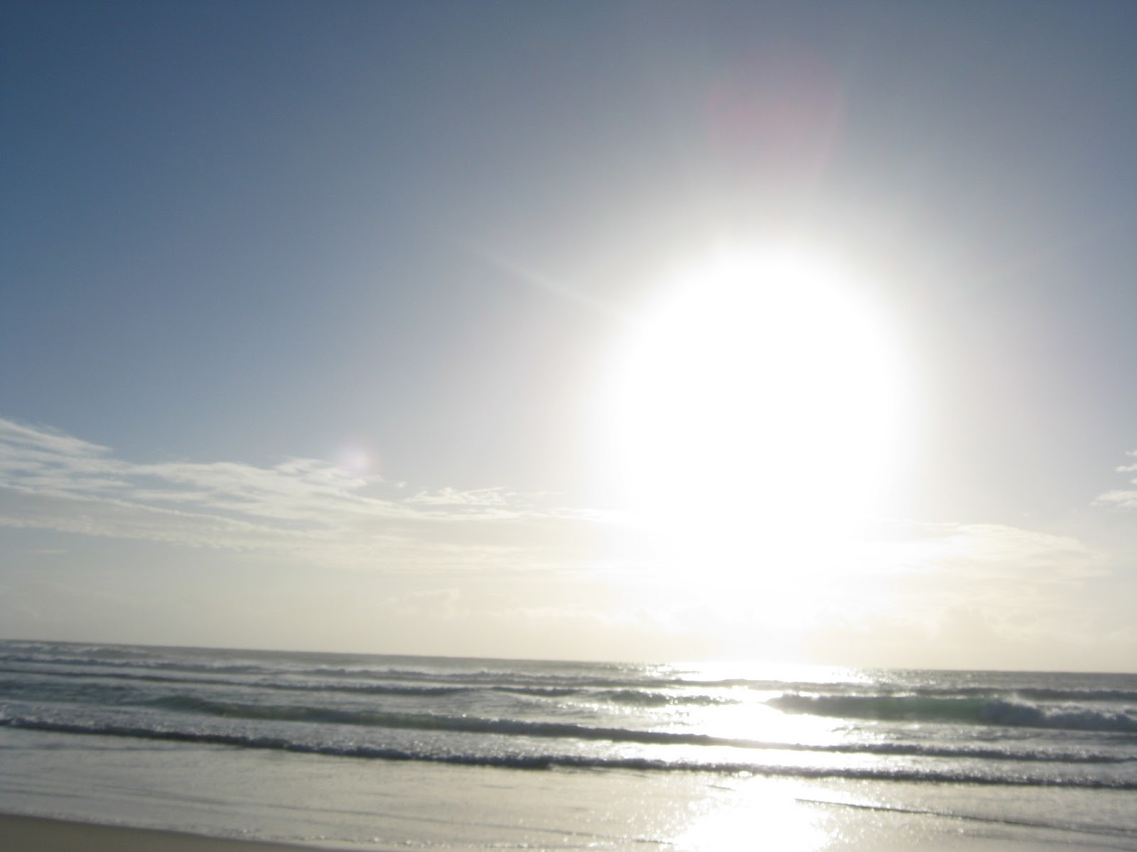 my walk with food and beautiful plants and flowers: Skywatch Friday ...