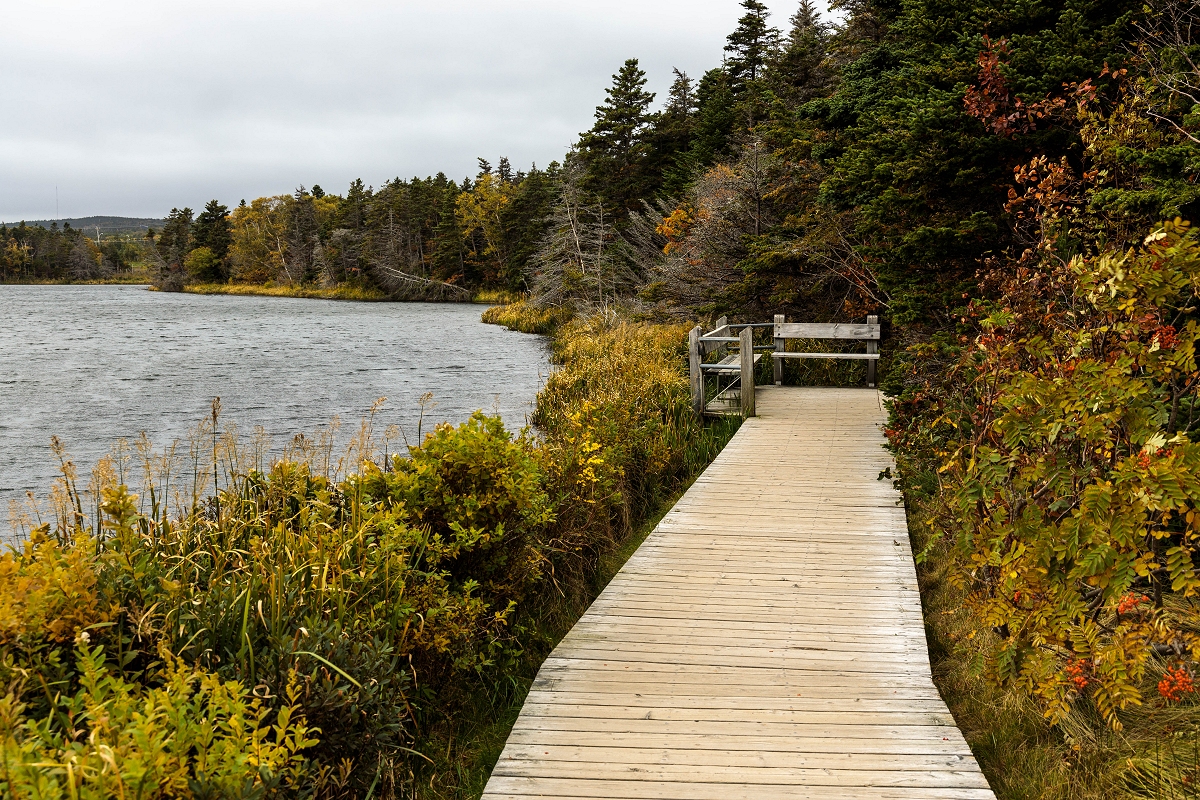 Bitstop: Kent's Pond Walking Trail