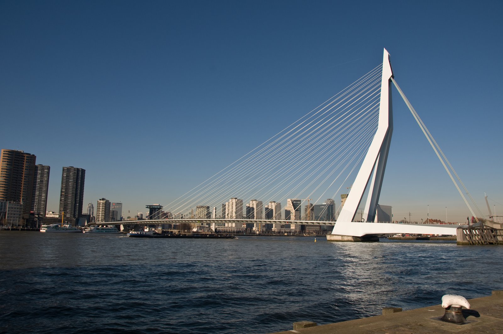 Bridges all over the world: Erasmusbrug, Rotterdam, Holland