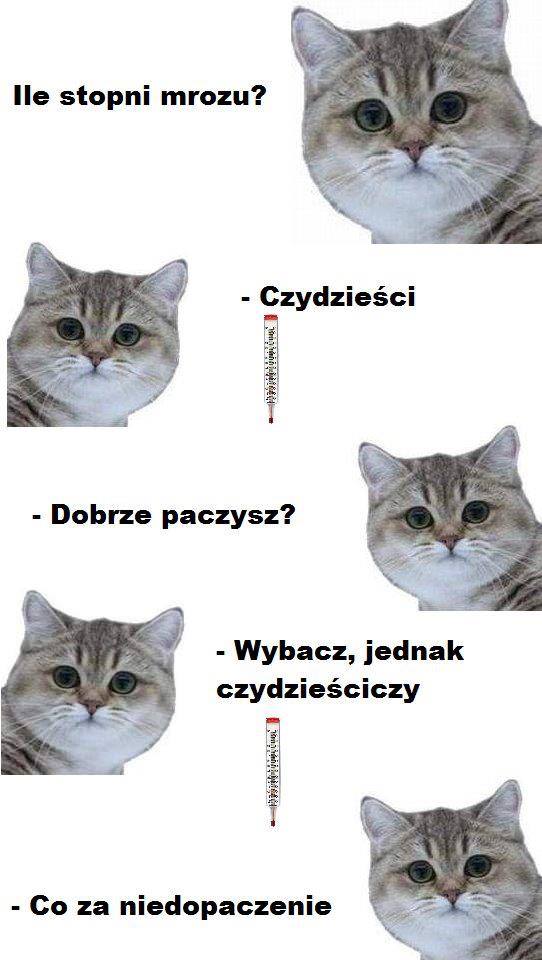 Analiza memów cz. 1 | Oblicza memów