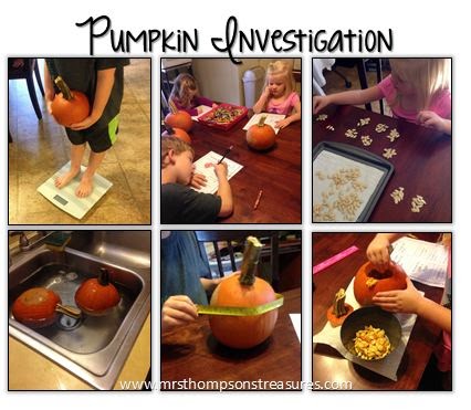 Pumpkin Investigation - Mrs. Thompson's Treasures